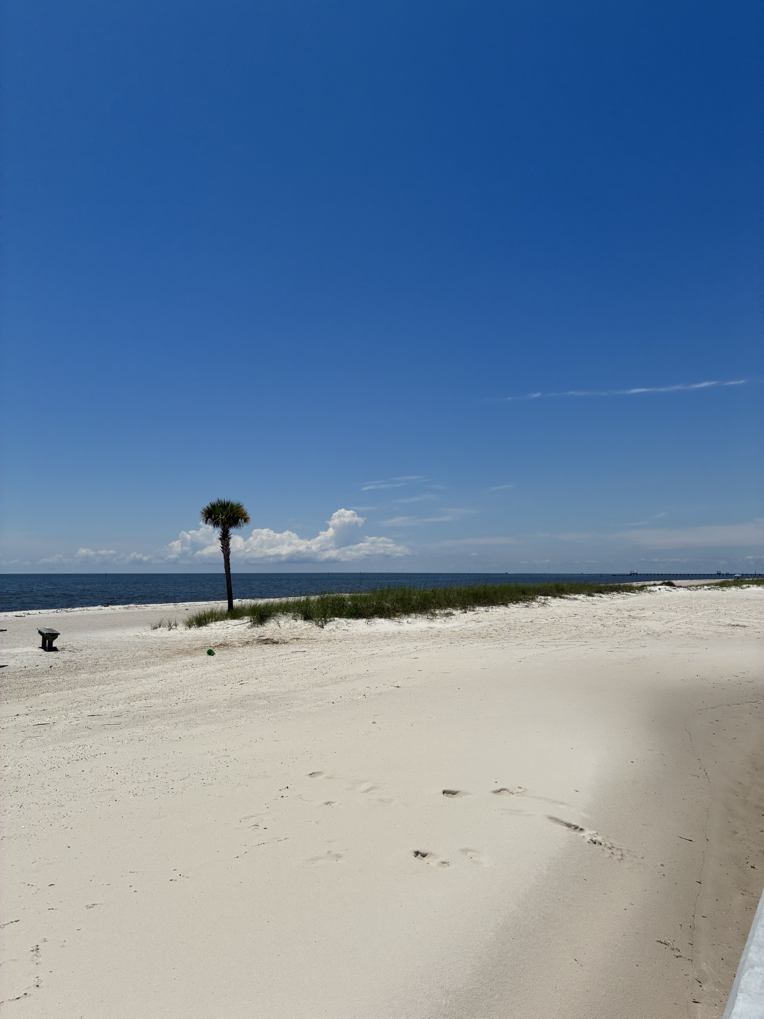 Wilderness Wandering – Wilderness Wandering
